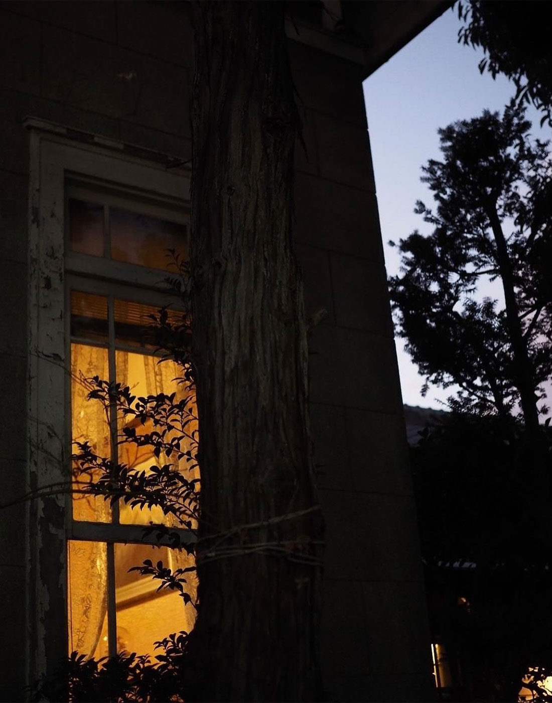 MARCHE DE EIMEKU documentary | eimeku